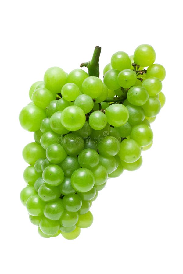 Groene druif stock afbeelding. Image of groen, versheid - 15160409