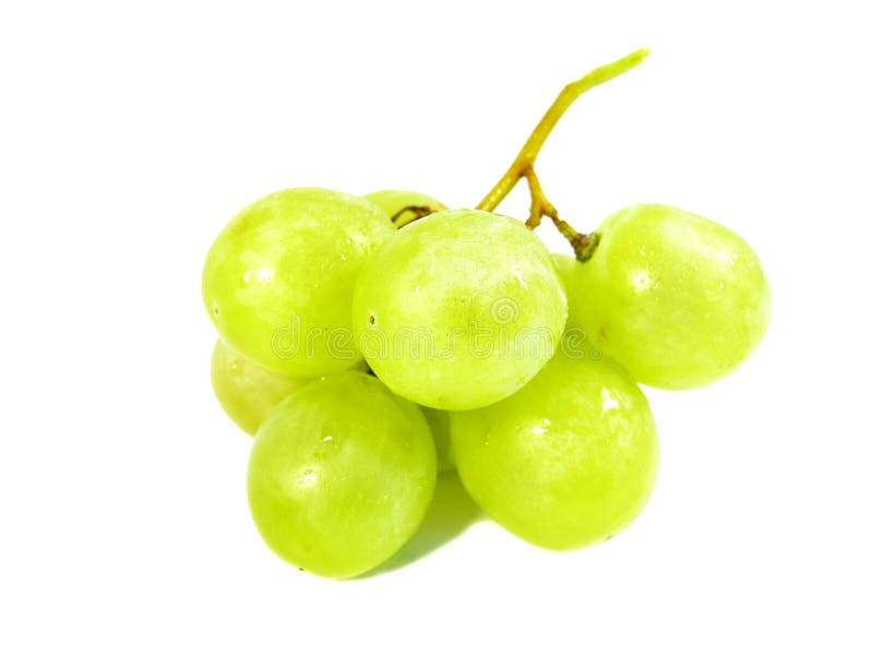 Groene Druiven Met Witte Druif Stock Foto - Image of fotografie ...