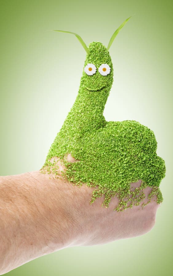 Groene duim stock afbeelding. Image of tuinman, menselijk - 7470065