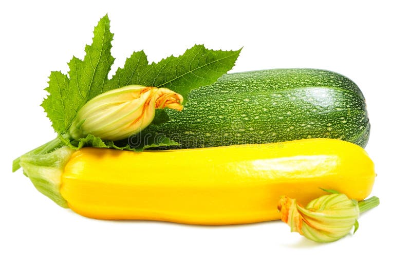 Groene en gele courgette stock afbeelding. Image of bloei - 76780811