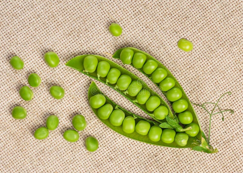 Groene erwt stock afbeelding. Image of nave, voorwerpen - 40969905