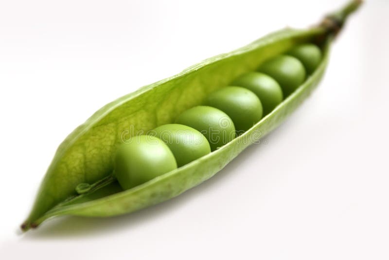 Groene erwt in een peul. stock foto. Image of voedsel - 16039806