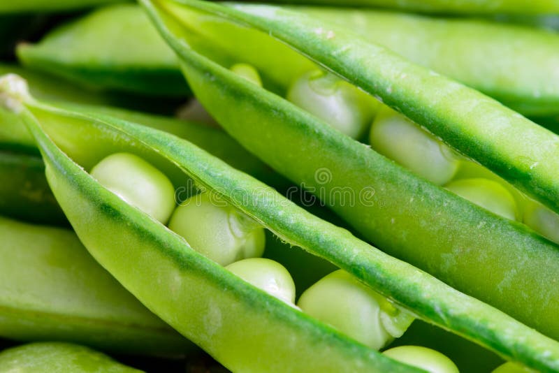 Groene erwten stock afbeelding. Image of erwt, peul, peulen - 31462299