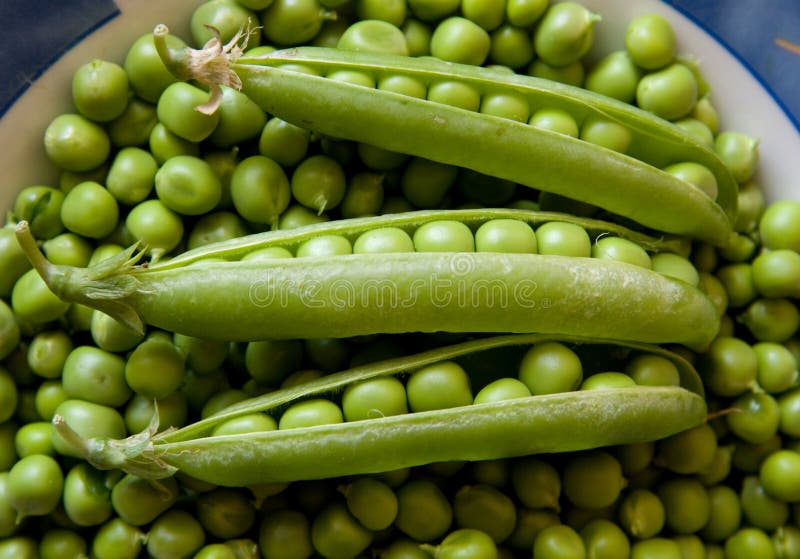 Groene erwten stock foto. Image of zaad, groep, boon, installatie - 5651080