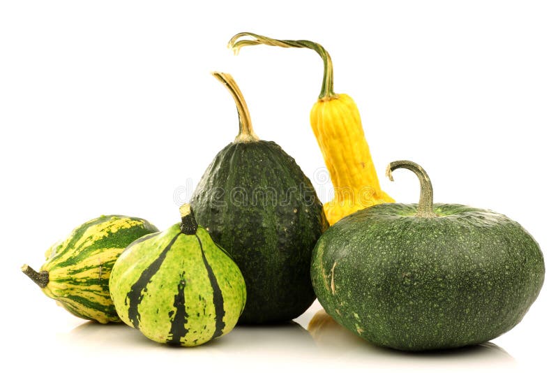 Groene, Gestreepte En Gele Sierpompoenen Stock Foto - Image of oogst ...