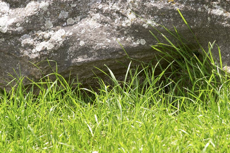 Groene gras en steen stock afbeelding. Image of wolk, weide - 5721729