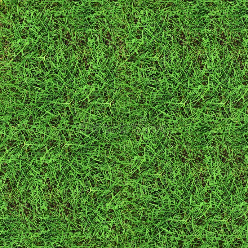 Groene Gras Naadloze Textuur Stock Foto - Image of mooi, vers: 37668016