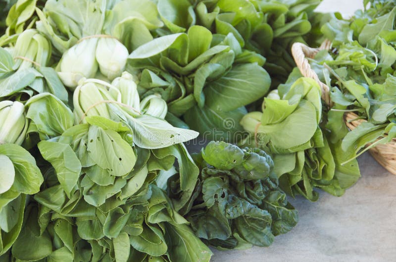 Groene bladgroenten stock afbeelding. Image of gezond - 14237229