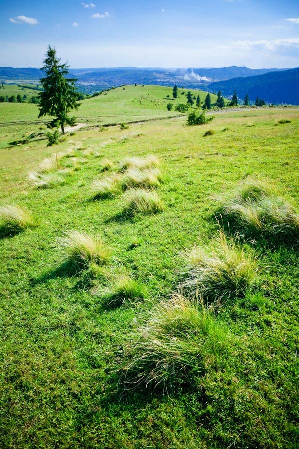 Groene heuvel stock foto. Image of nave, installatie, groen - 2756190