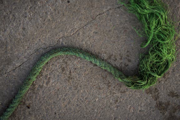 Groene kabel stock afbeelding. Image of verzending, vorm - 47835167