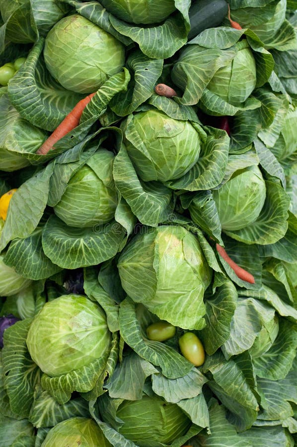 Groene Kool En Andere Groenten Stock Afbeelding - Image of schoonheid ...