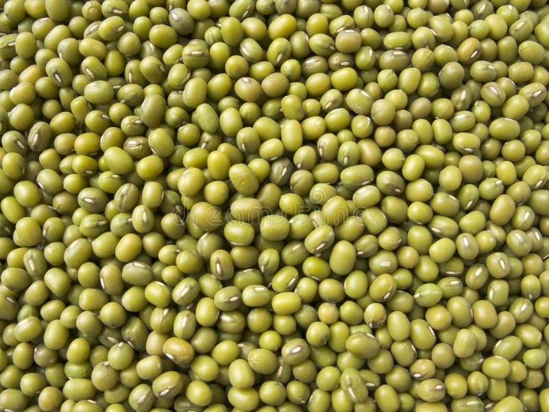 Groene mung bonen stock afbeelding. Image of droog, ingrediënt - 20200305