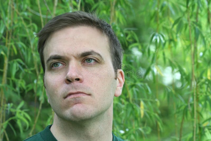 Groene Ogen stock afbeelding. Image of volwassen, ogen - 5433709