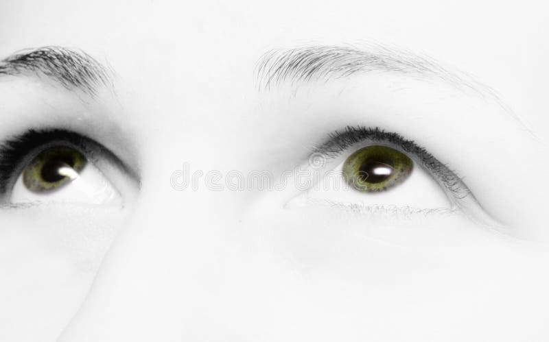 Groene ogen stock foto. Image of stijl, haar, mensen, ogen - 796536