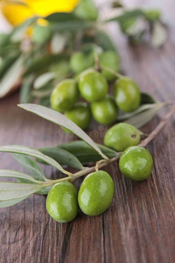 Groene olijf stock foto. Image of cultuur, naughty, olijf - 26787806