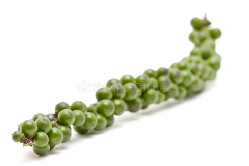 Onverwerkte Verse Groene Peperbollen in De Mand Stock Afbeelding ...