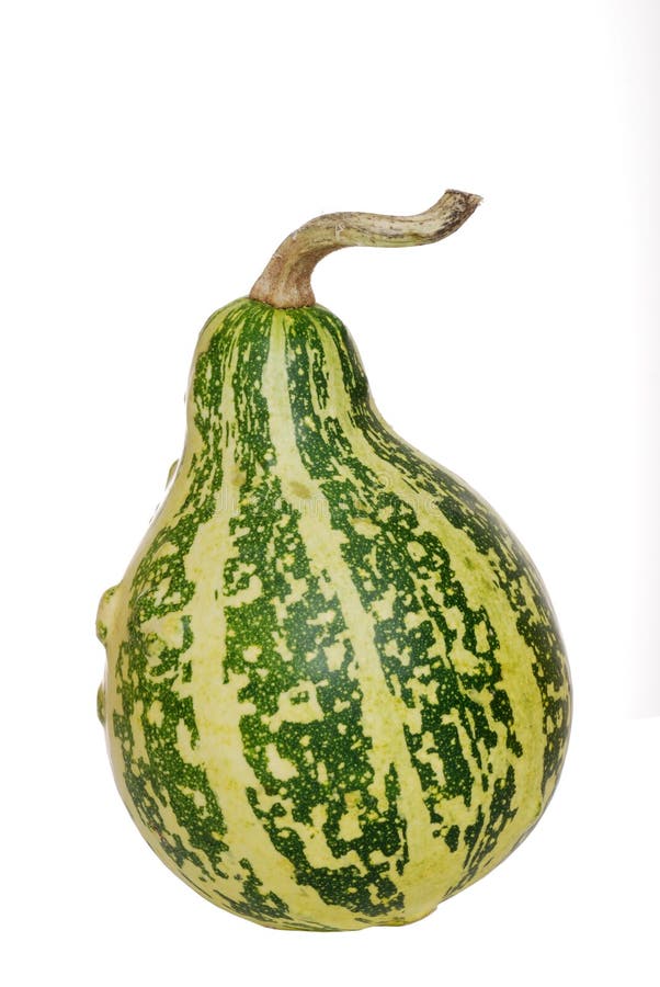 Groene Pompoen in Tuin Klaar Te Oogsten Stock Afbeelding - Image of ...