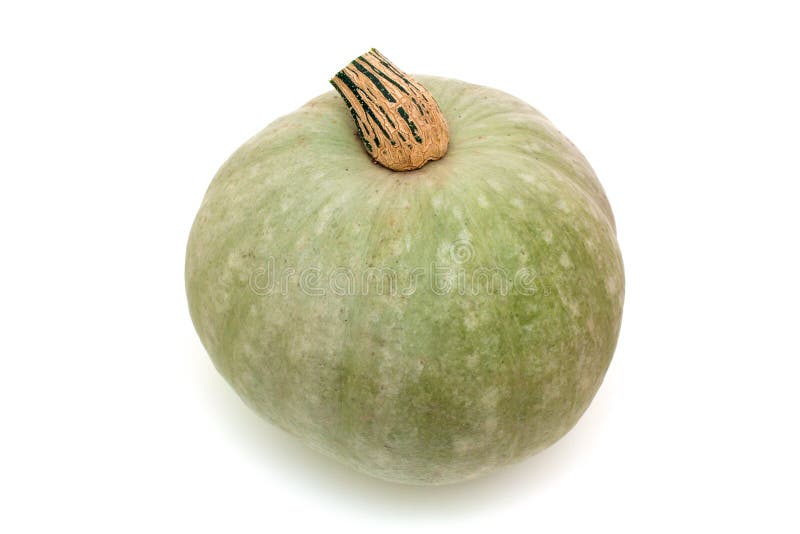 Groene pompoen stock afbeelding. Image of feestelijk - 32794501