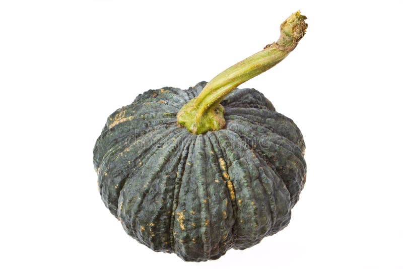 Groene Pompoen Op Geïsoleerde Witte Achtergrond Stock Foto - Image of ...