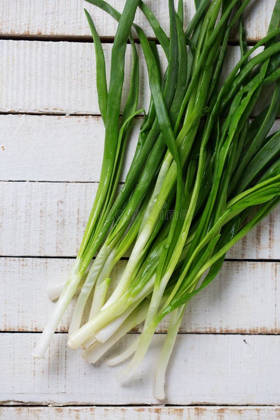 Groene prei stock foto. Image of plantaardig, culinair - 51352500