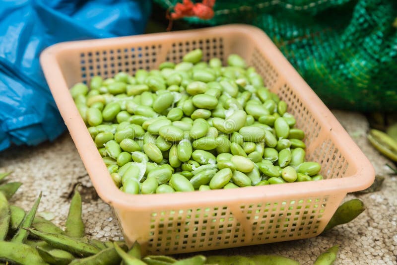 Groene sojaboon stock foto. Image of sojaboon, vers, peulvrucht - 26839348