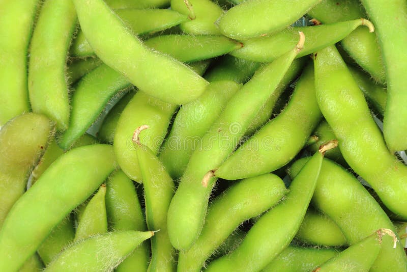 Groene sojaboon stock foto. Image of nietje, boon, soja - 28822010