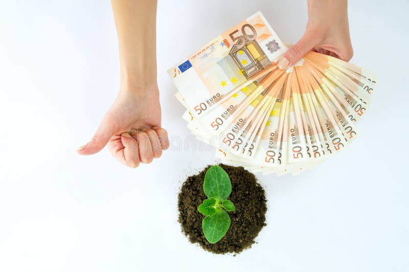 Groene Spruit in De Grond En Het Europese Geld Stock Afbeelding - Image ...