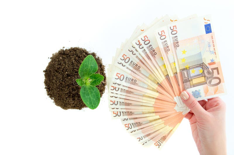 Groene Spruit Met Europees Geld Stock Foto - Image of geld, financieel ...