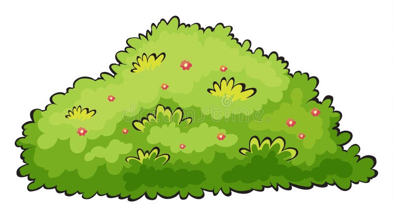 Struik Stock Illustrations, Vectors, & Clipart – (128,066 Stock ...