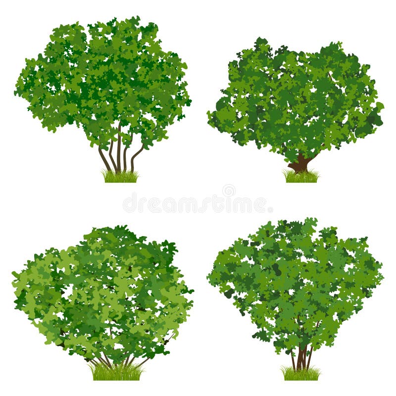 Vector Set Van Groene Struiken Vector Illustratie - Illustration of ...