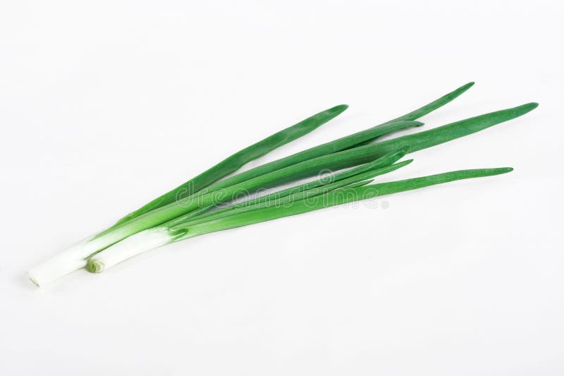 Groene ui stock foto. Image of eten, helder, kruiden - 13342888