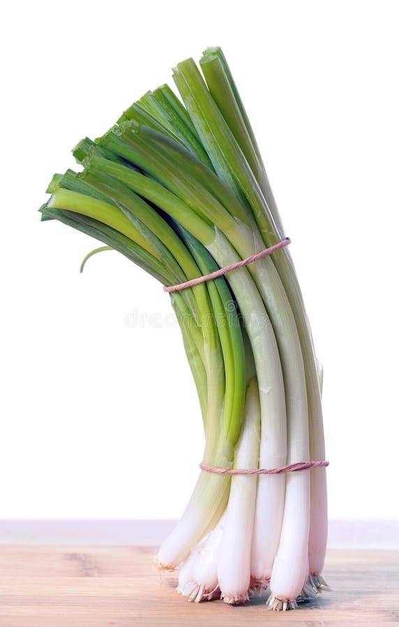 Groene ui stock afbeelding. Image of gezond, vers, groen - 35766155