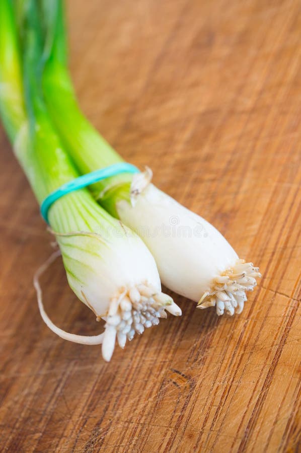 Groene ui stock afbeelding. Image of opbrengst, ingrediënt - 44919405