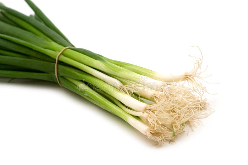 Groene ui stock afbeelding. Image of voedsel, groen, dieet - 6694093