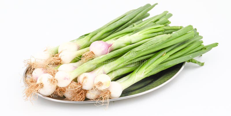 Groene ui stock foto. Image of kruiden, blad, salade - 105743244