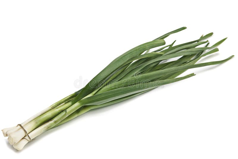 Groene ui stock foto. Image of ingrediënt, niemand, plantaardig - 9808008