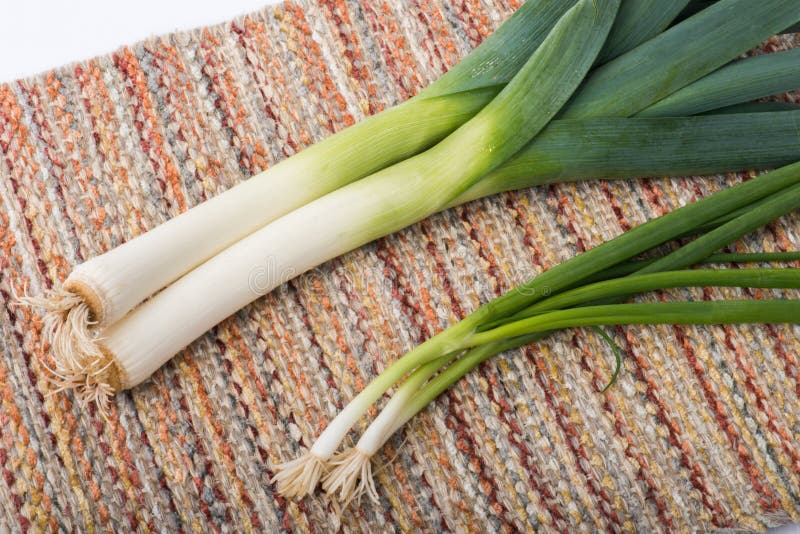 Groene ui en prei stock afbeelding. Image of opbrengst - 51462893