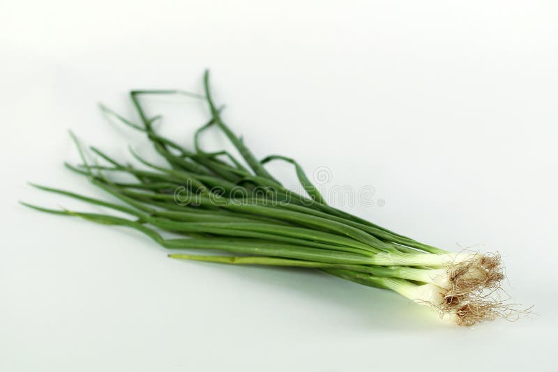 Groene Ui Op Witte Achtergrond Stock Foto - Image of eten, flora: 36284878