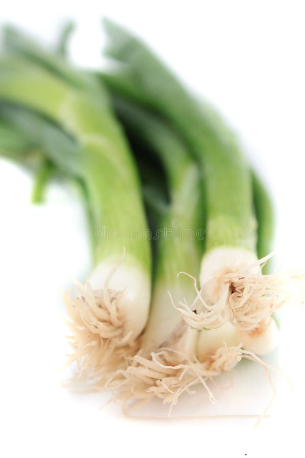 Groene uien stock afbeelding. Image of groen, bollen - 26259321