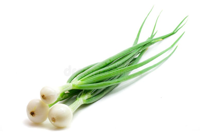 Groene uien stock foto. Image of geïsoleerd, ingrediënt - 5909144