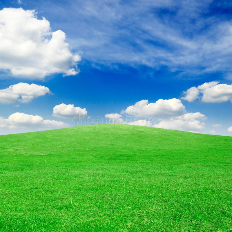 Groene weide stock foto. Image of landbouwbedrijf, gewas - 6285966