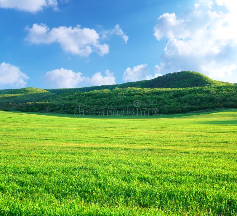 Groene weide in berg stock foto. Image of achtergrond - 51543702