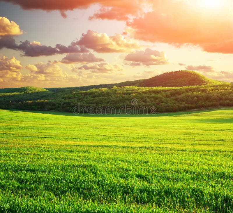 Groene weide in berg stock foto. Image of landschap, kleur - 52498510