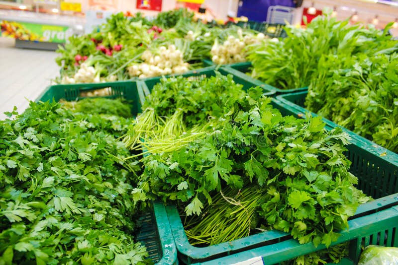 Witte groenten stock foto. Image of groenten, knoflook - 9535152