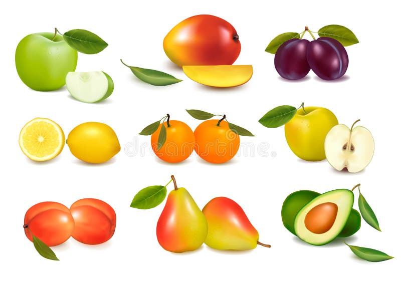 Groep Met Verschillende Soorten Fruit. Vector Illustratie ...
