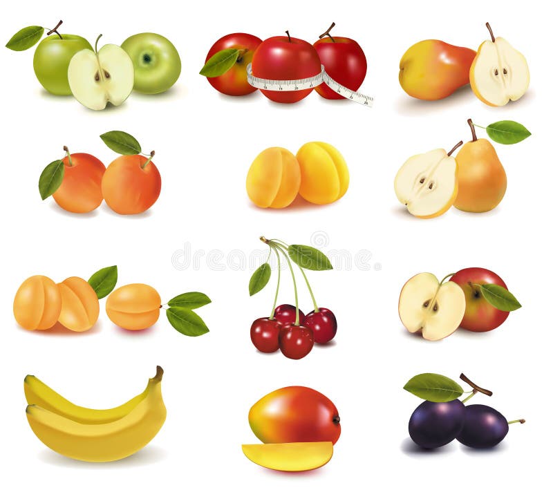 Groep Met Verschillende Soorten Fruit. Vector Vector Illustratie ...