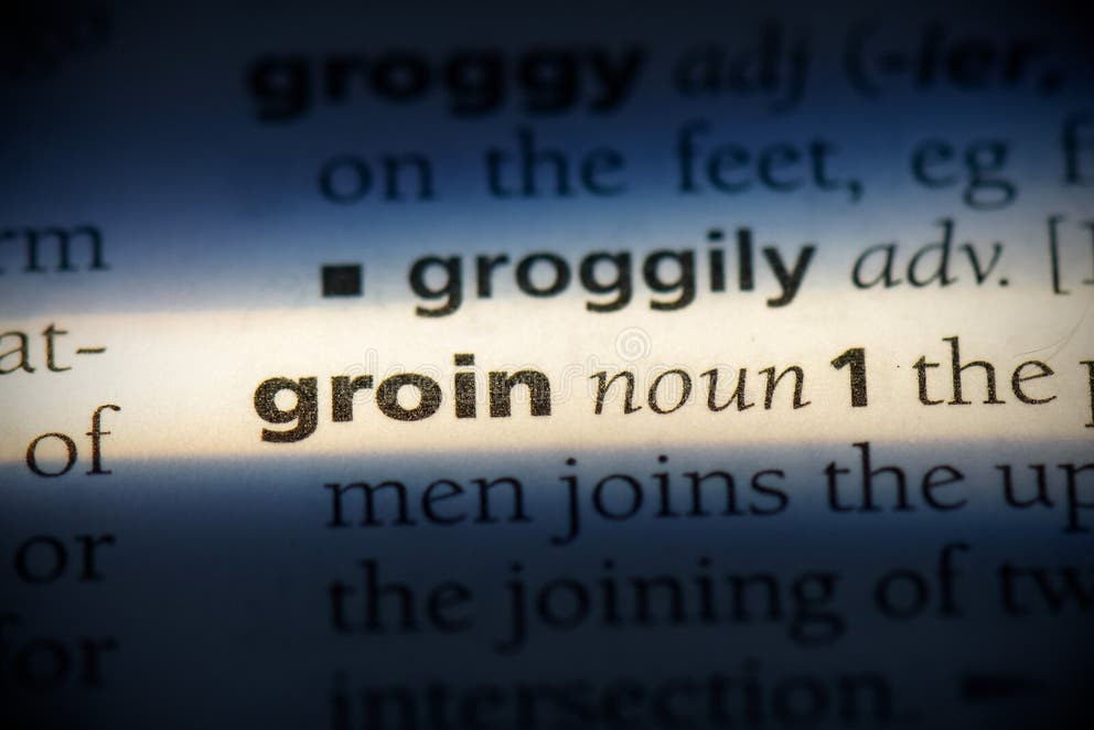 Groin stock image. Image of etymology, learn, info, meaning - 161576413
