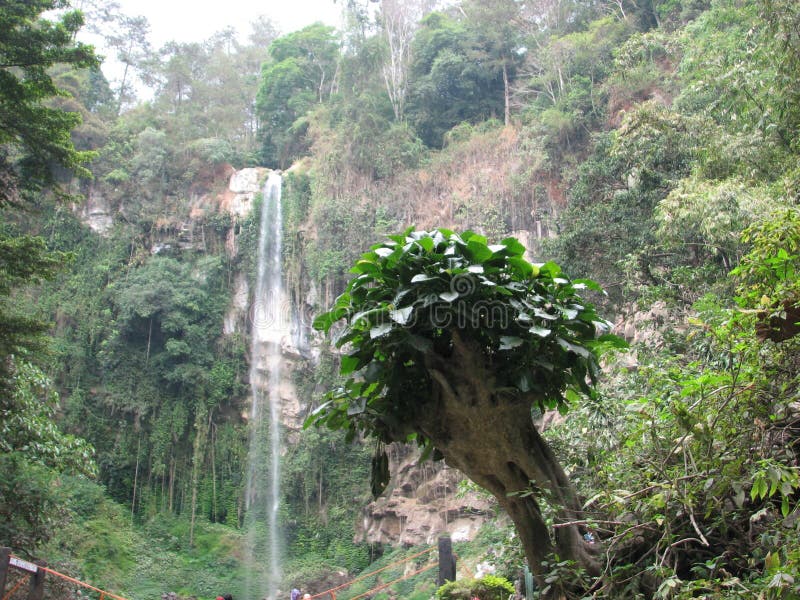 Tawangmangu Grojogan Sewu Waterfall Stock Photo - Image of java, pure ...