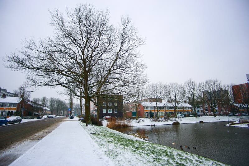 Groningen view on snow day stock photo. Image of plant - 64544326