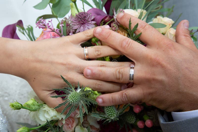 Groom Bride Hands of Bridal Couple with Wedding Rings Stock Image ...